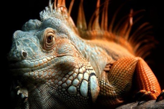 Der Andere Winkel By Angela Meißner On Fivehundredpx