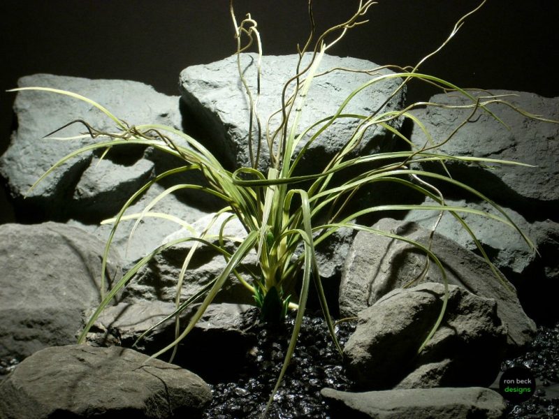 Artificial Spiked Fern - Artificial Reptile Terrarium Plant; Handcrafted.