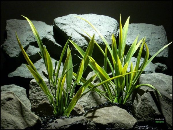 Plastic Aquarium Plant: Arrowhead Grass