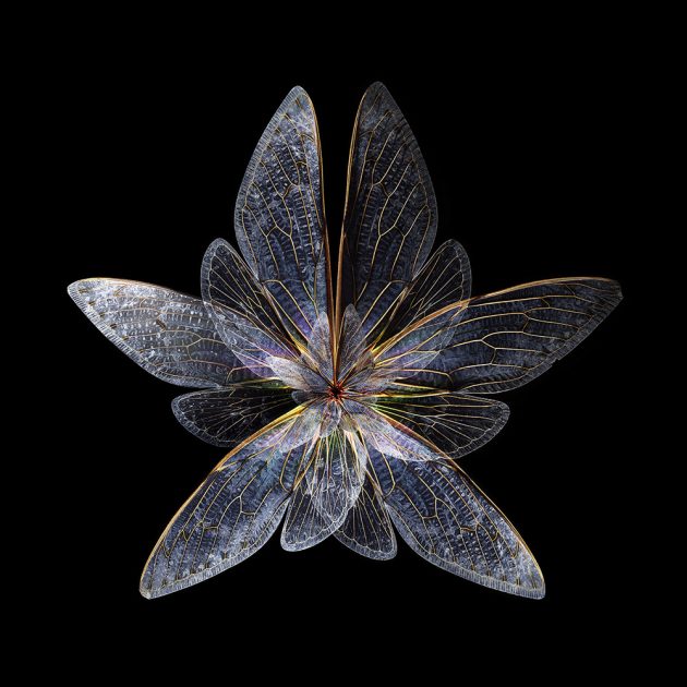 Blooms Of Insect Wings Created By Photographer Seb Janiak — Artificial ...