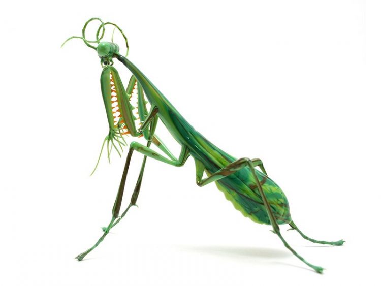 Green Praying Mantis - Glass Sculpture Artist | Wesley Fleming.
