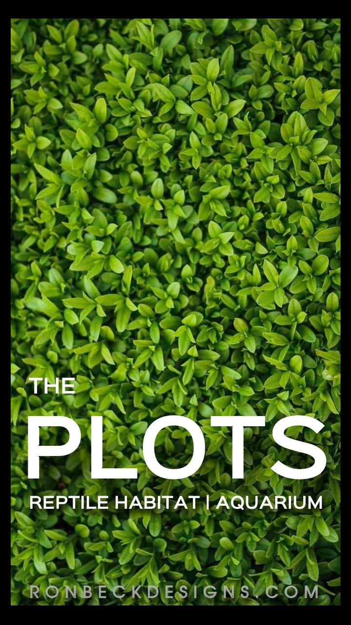 Blog | Ron Beck Designs - Artificial Plants Reptile Habitats