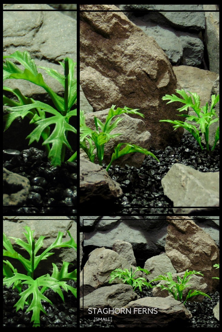 Small Artificial Staghorn Fern — Artificial Plants - Ron Beck Designs