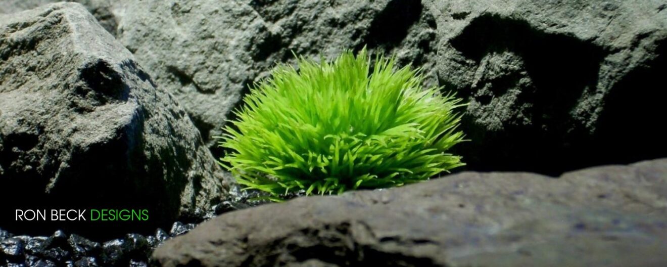 Artificial Moss Pad | Aquarium Plant — Artificial Plants - Ron Beck Designs